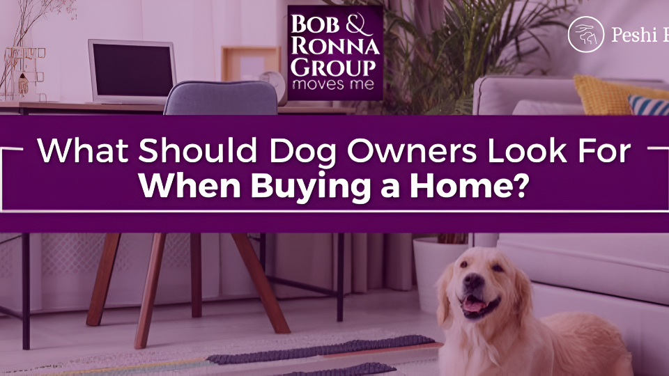 What to Know Before Getting a Pet: 9 Key Things to Consider